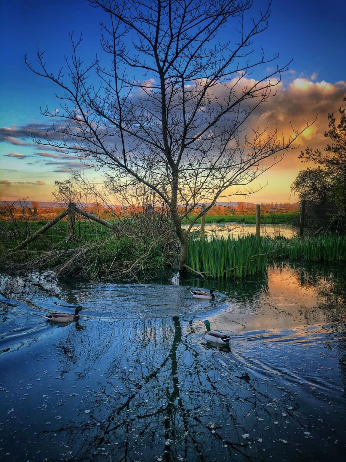 Welcome to Bierton - Bierton Parish Council